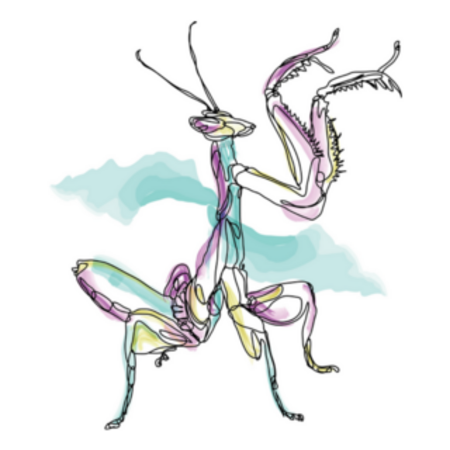 Line Art Of Watercolor Praying Mantis Sticker