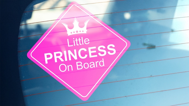 Custom Static Cling Stickers & Decals - Free Shipping in US