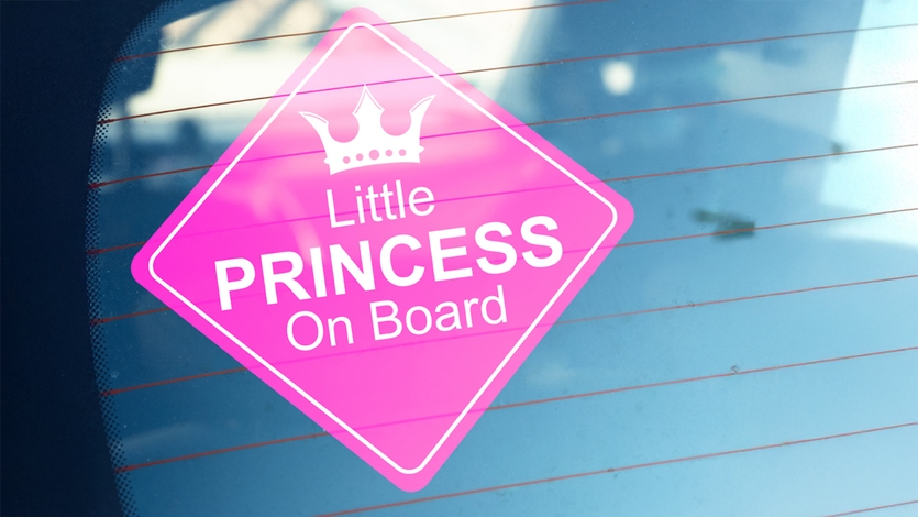 Custom Static Cling Stickers & Decals - Free Shipping in US