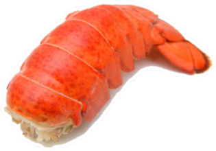 Lobster Stickers & Decals for Sale | Car Stickers