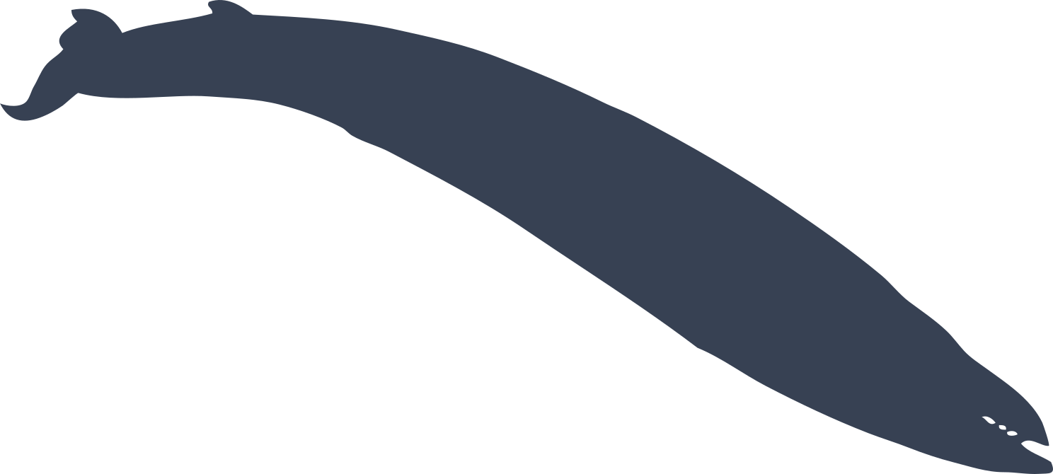 Long Skinny Whale Sticker - Fast Shipping & No Minimums