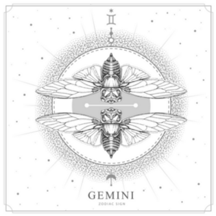 Gemini Zodiac & Astrology Stickers & Car Decals