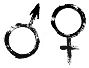 Male & Female Gender Symbol Car Stickers & Decals