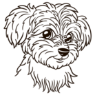 Maltese Animal Sticker