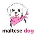 Maltese Dog Sticker