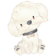 Maltese Illustration Sticker