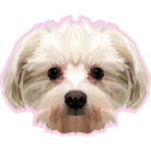 Maltese Low Poly Sticker