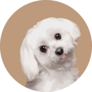 Maltese Tilting Head Sticker