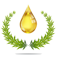 Marijuana And Cannabis Cbd Oil Drop Sticker