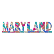 Maryland Multicolor Illustrated Lettering Sticker