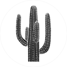 Mexican Cactus Icon Sticker