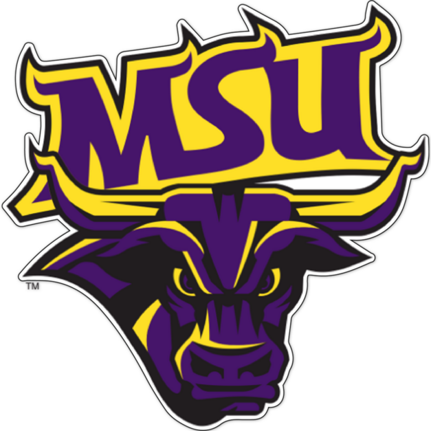 Vinyl Minnesota State Mankato NCAA Logo Stickers