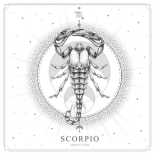 Scorpio Zodiac & Astrology Stickers & Car Decals