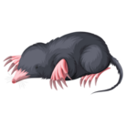 Mole With Black Fur Sticker