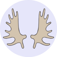 Moose Horn Antler Sticker