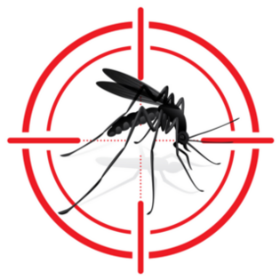 Mosquito Vinyl Stickers & Decals | Car Stickers