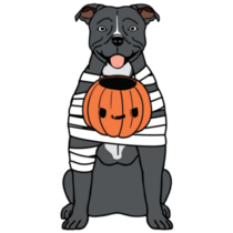 Pit Bull Stickers