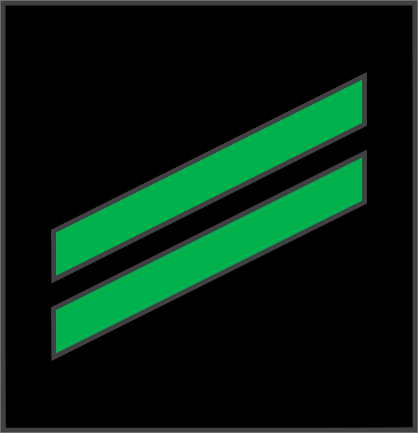 Navy Rank E-2 Airman Sticker Shipped Fast & Free!