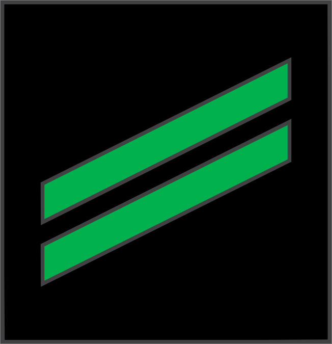 Navy Rank E-2 Airman Sticker