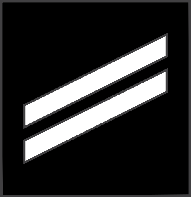 Navy Rank E-2 Seaman Sticker