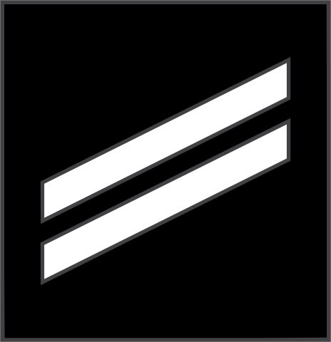 Order Your Navy Rank E-2 Seaman Sticker Today - Free Shipping!