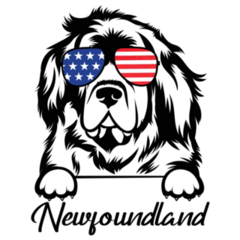 Newfie American Sticker