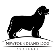 Newfoundland Dog Sticker
