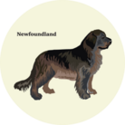 Newfoundland Label Sticker