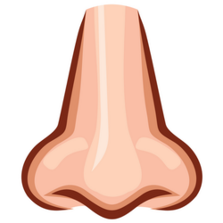 Nose Straight On Sticker