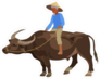 Old Man Riding Water Buffalo Sticker