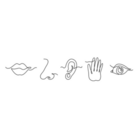 One Line Five Human Senses Nose To Smell Sticker