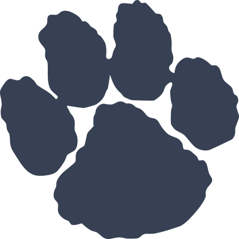 One Paw Print Sticker - 50+ Colors!