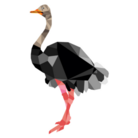 Ostrich Polygon Colored Sticker