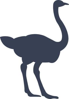 Ostrich Stickers & Decals | Free Shipping