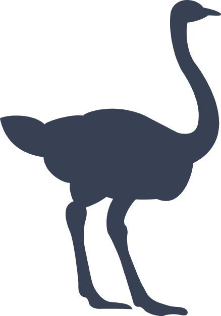 Vibrant, High-Quality Ostrich Stickers