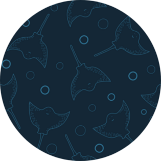 Stingray Stickers & Decals | Free Shipping