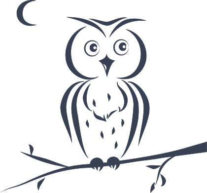 Vinyl Owl Decals & Car Stickers | Custom Waterproof Decals