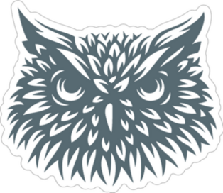 Vinyl Owl Decals & Car Stickers | Custom Waterproof Decals