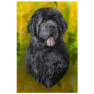 Painted Newfoundland Sticker