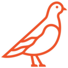 Partridge Bird Line Art Red Sticker