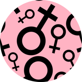 Male & Female Gender Symbol Car Stickers & Decals