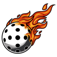 Pickleball On Fire Sticker