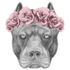 Pitbull Floral Head Sticker