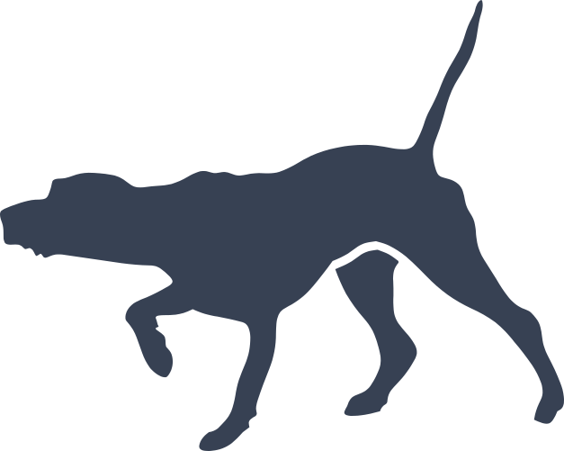 Order Your Pointer Dog Sticker Today - Free Shipping!