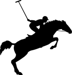 Polo Player Jumping Horse Sticker