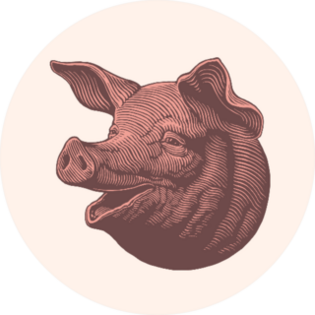Pig & Boar Decals for Cars | Pig Car Stickers | Car Stickers