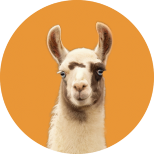 Llama Stickers | Llama Vinyl Stickers