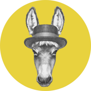 Donkey & Mule Car Stickers – Custom Vinyl Decals & Stickers