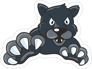 Panther Decals - Vinyl Stickers for Wall or Car