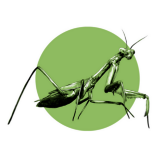 Praying Mantis Car Stickers & Decals